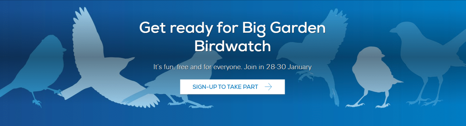 The RSPB Big Garden Bird Watch - Planting up